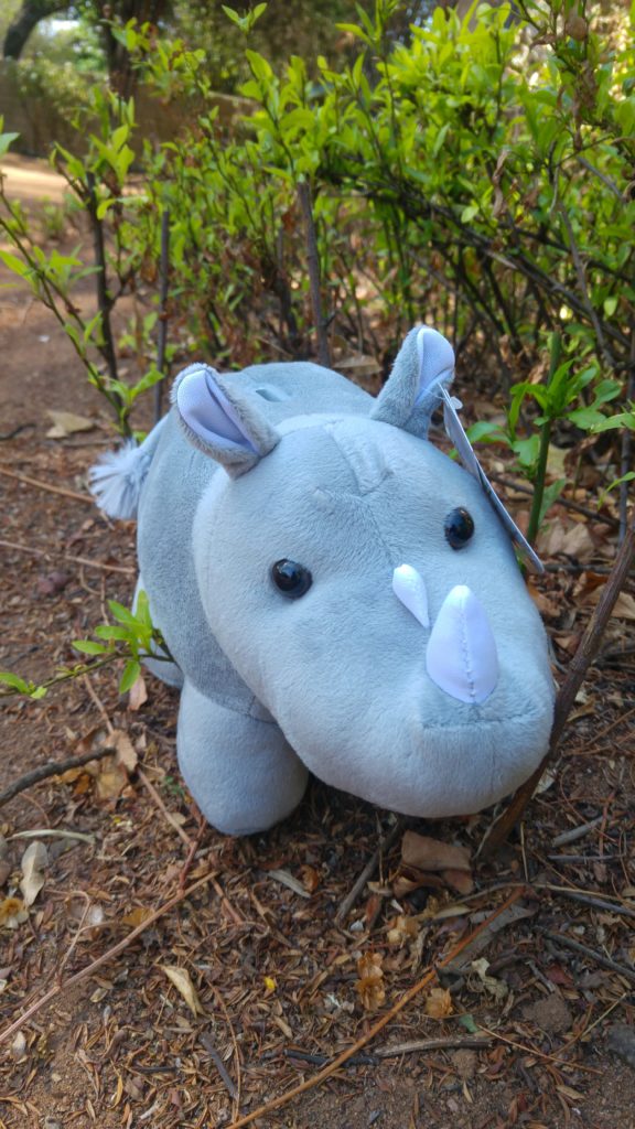 Nicky's rhino show and tell & how you can help the baby rhinos - One ...